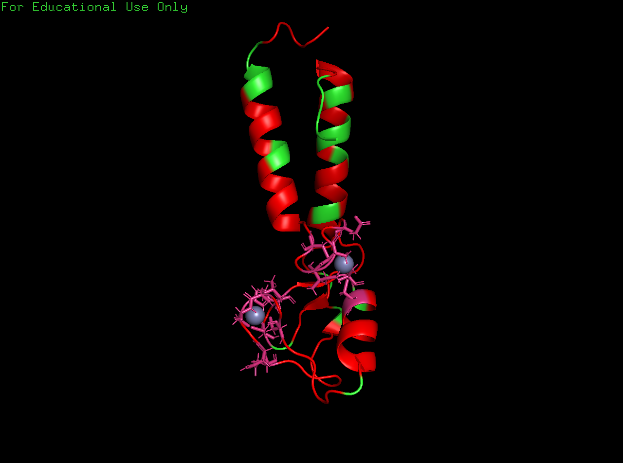 GitHub - Orpowell/BRCA1-Protein-Analysis: A basic bioinformatic ...