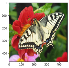 GitHub - RaymondMcCreesh/Sinogram