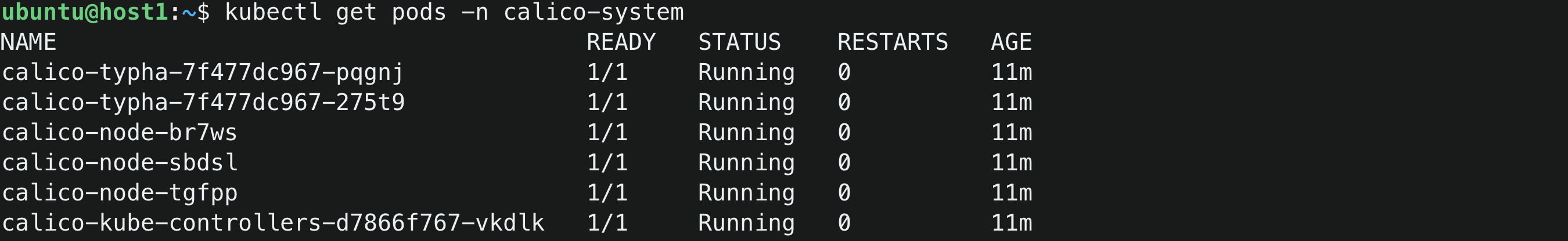 GitHub - shoyalax0703/Calico-study: i have learned calico using website "Certified Calico ...