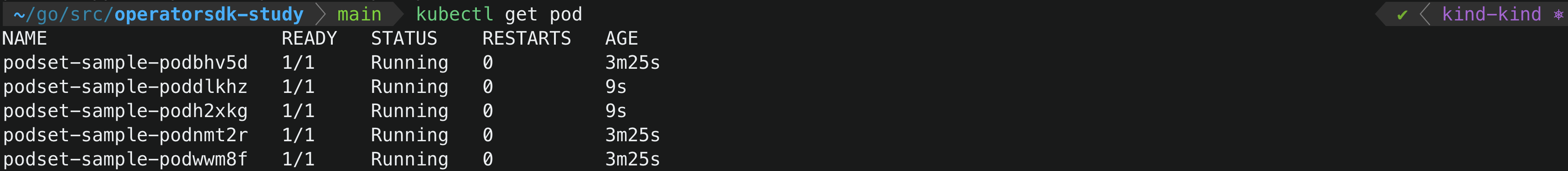 GitHub - shoyalax0703/Operator-SDK-with-GO