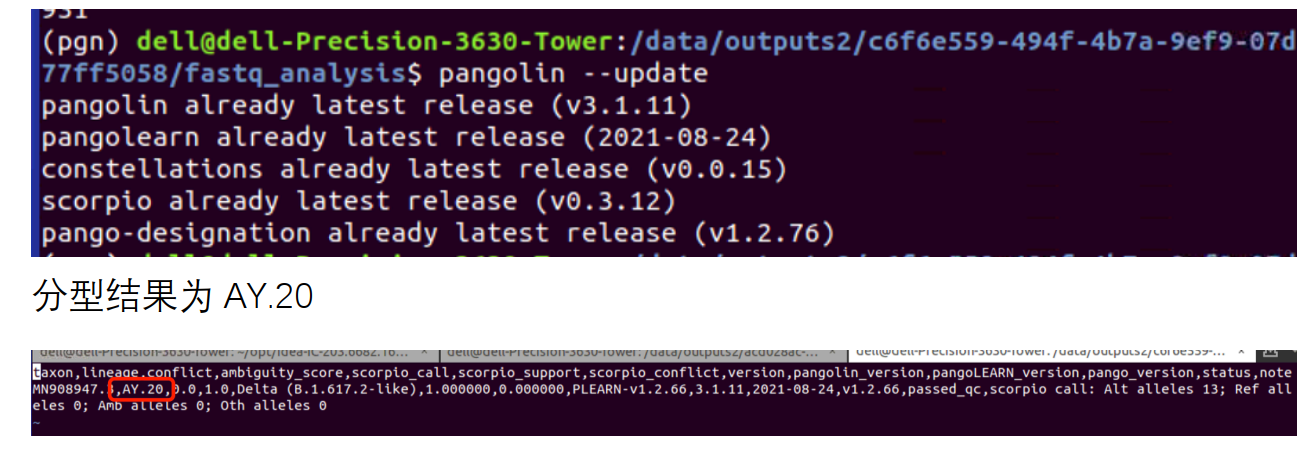 inconsistent lineage assignment between pangolin web version and github ...