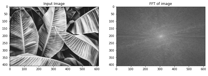 GitHub - paartheee/edge_detection_fourier_transform