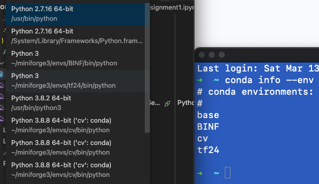 A Bug Of Jupyter Notebook Interpreter · Issue 5159 · Microsoftvscode Jupyter · Github