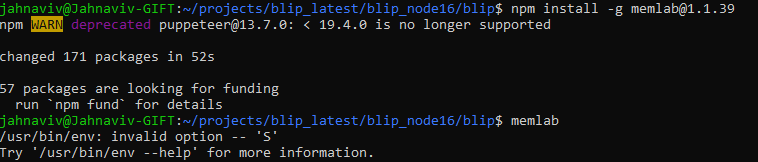 /usr/bin/env: invalid option -- 'S' · Issue #78 · facebook/memlab · GitHub