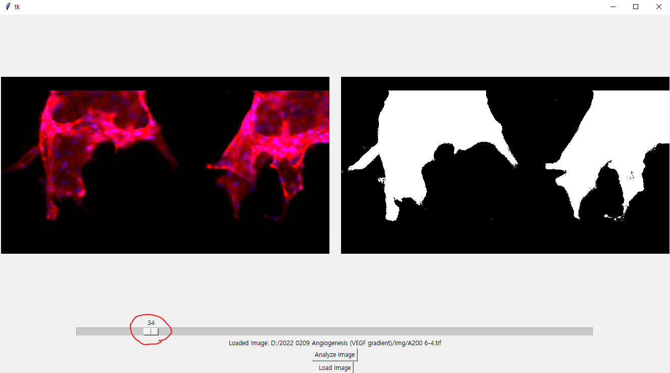 GitHub - moonchildz/angio_analysis: Source code for my publication, https://pubs.rsc.org/en ...