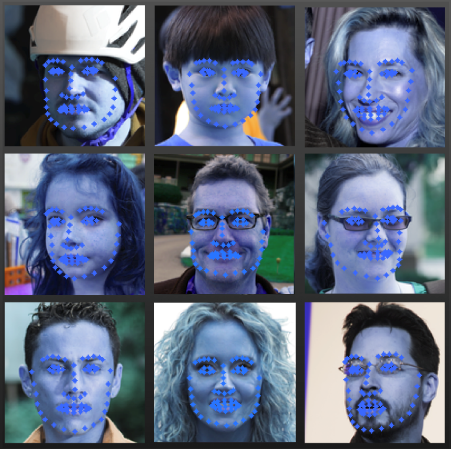 GitHub - Jenna-Che/Facial-Landmarks-Detection-with-Fake-it-Dataset