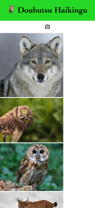 GitHub - GaetanKarst/Doubutsu-Haikingu: An app allowing you to take a picture of animals, plants ...