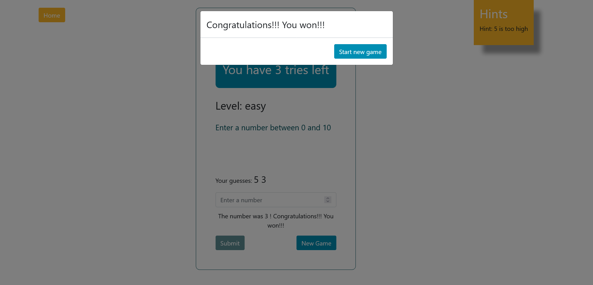GitHub - IrinaTsirkalova/Java-NumberGuessingGame
