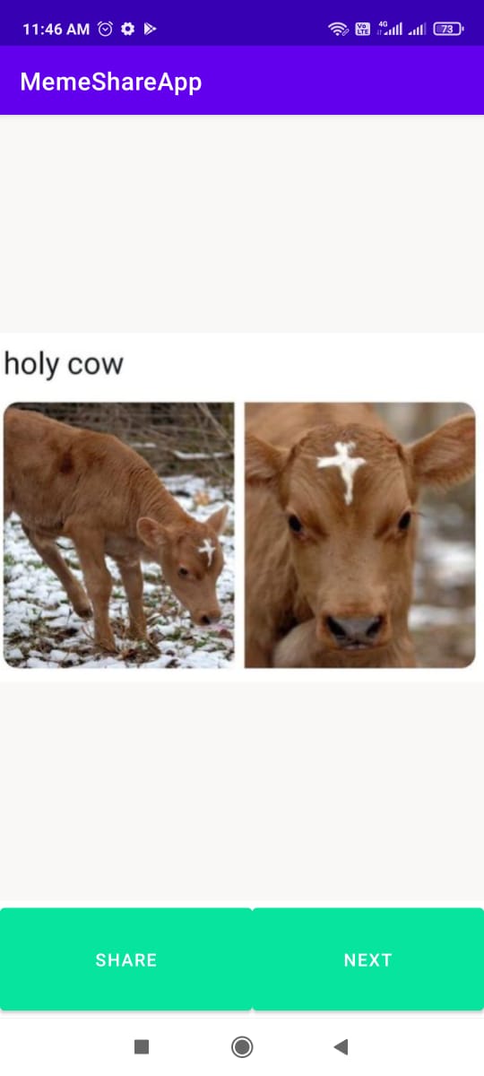 GitHub - Vishnuteja10/MemeShareApp