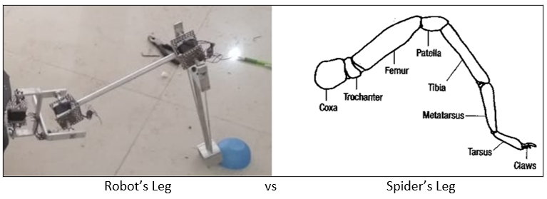GitHub - aashiperun/Spider-Robot-for-Facade-Cleaning: A project to ...