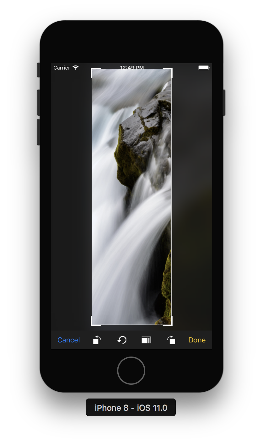 Support iPhone X · Issue #196 · TimOliver/TOCropViewController · GitHub