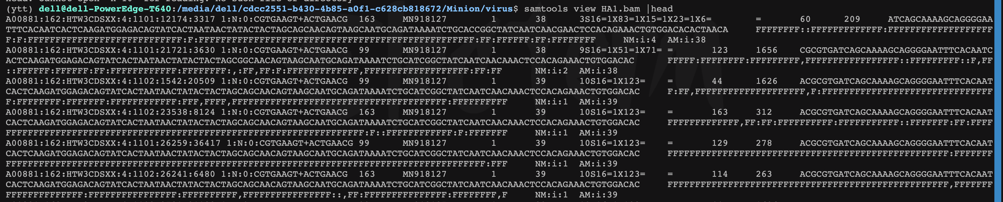 [E::faidx_fetch_seq] The sequence "MN918127" not found ; bcftools mpileup problem · Issue #1615 ...