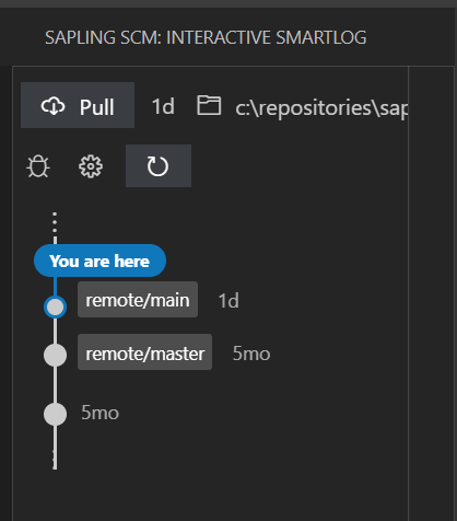 Smart log web view commit graph only shows current commit and remote branch · Issue #617 ...