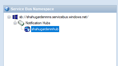 Failed to retrieve EventHub entities. Exception: Microsoft.ServiceBus.Messaging.MessagingException