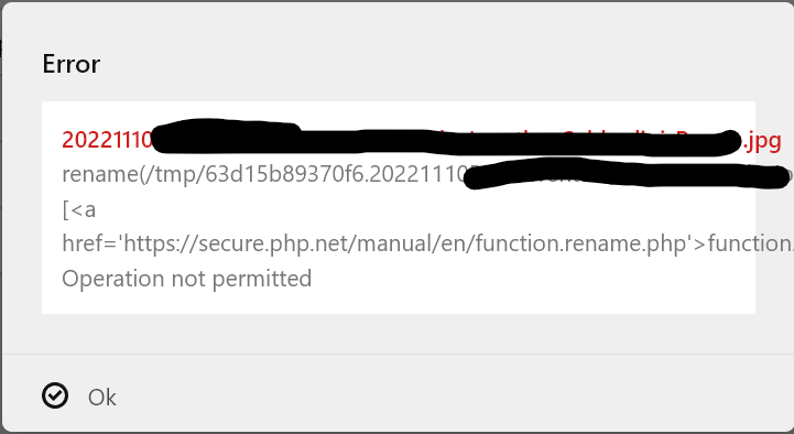 Error message on upload "Operation not permitted" · Issue #5024 · getkirby/kirby · GitHub