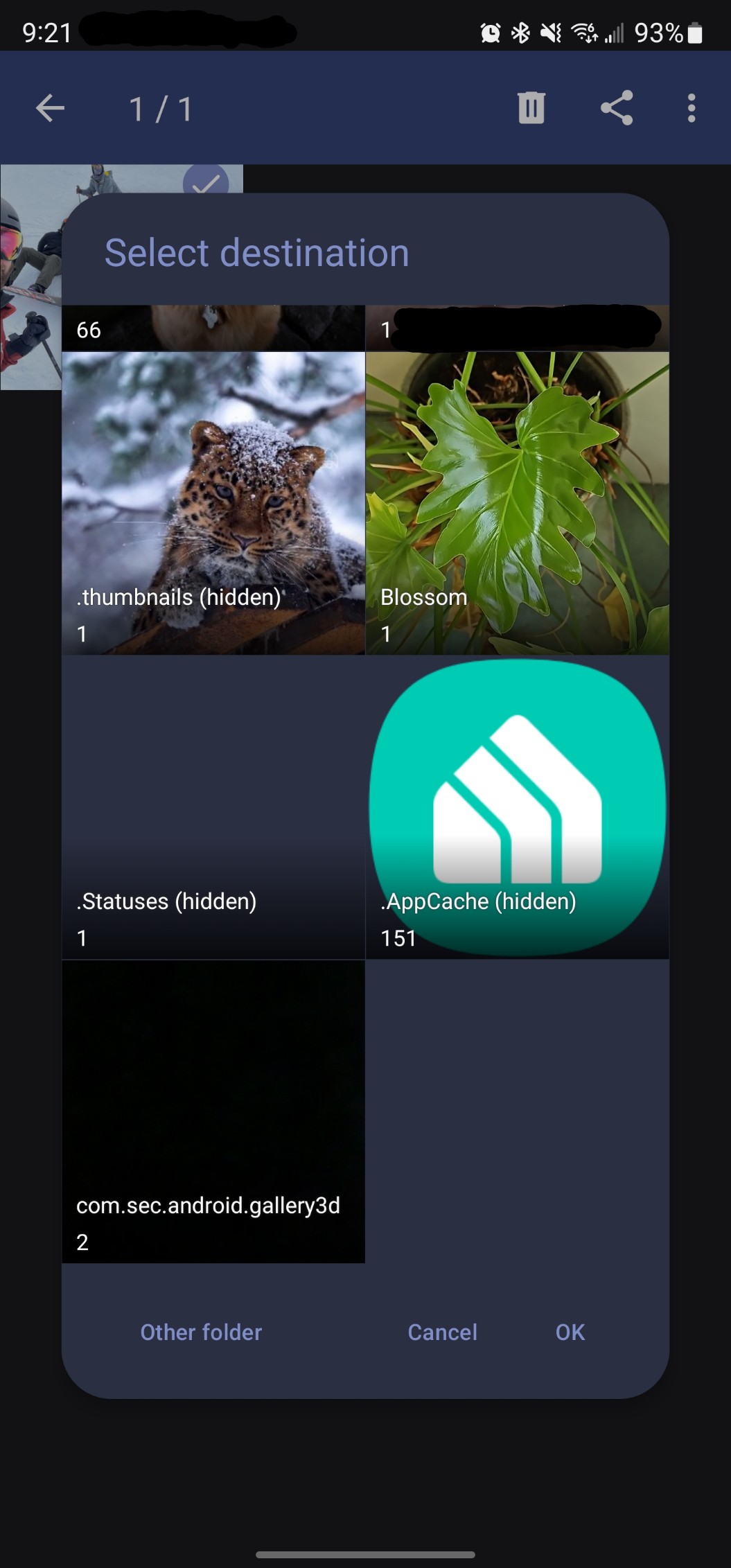 Selecting an image and pressing "Move to" then showing hidden folders brings up several ...