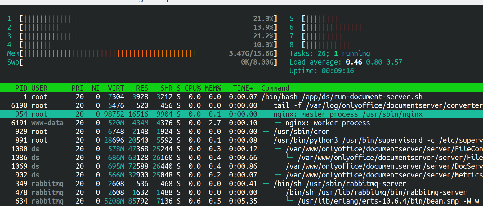Nginx high memory consumption · Issue #367 · ONLYOFFICE/Docker-DocumentServer · GitHub