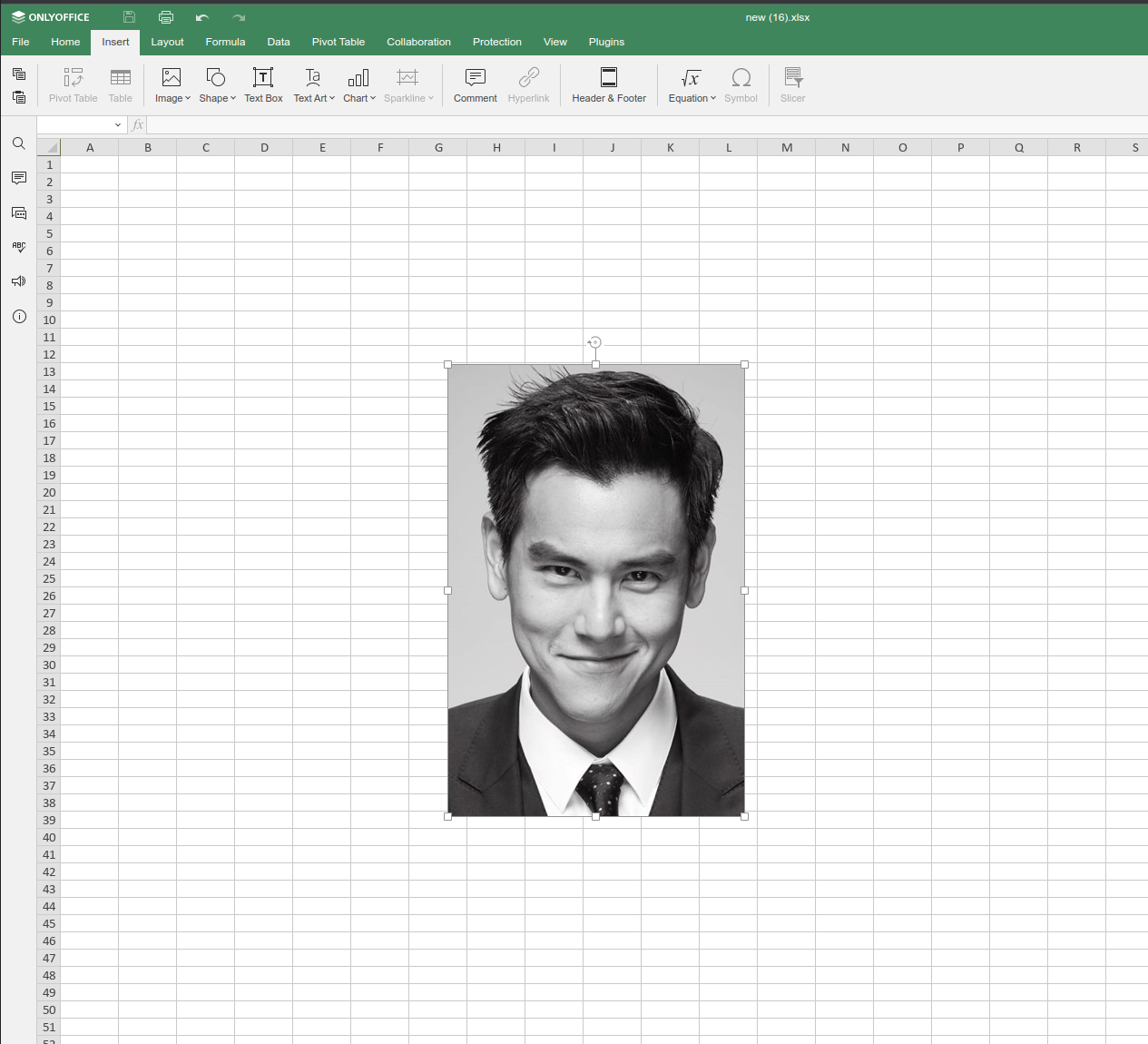 The picture is not displayed correctly in excel · Issue #1804 · ONLYOFFICE/DocumentServer · GitHub