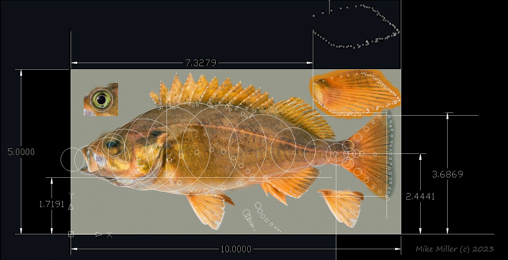 GitHub - syanenko/YesWorld: Collection of POV-Ray objects inspired by Roger Dean's artworks