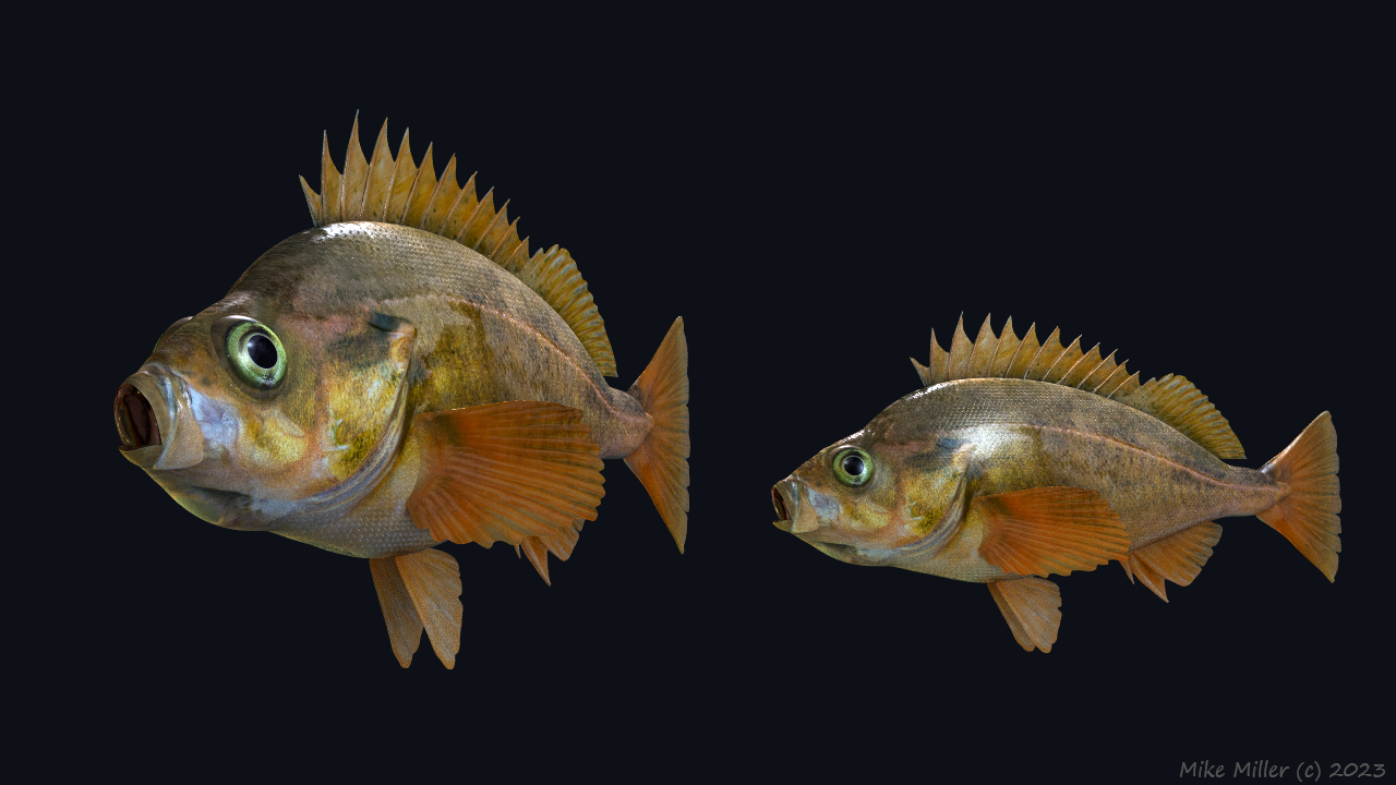 GitHub - syanenko/YesWorld: Collection of POV-Ray objects inspired by ...