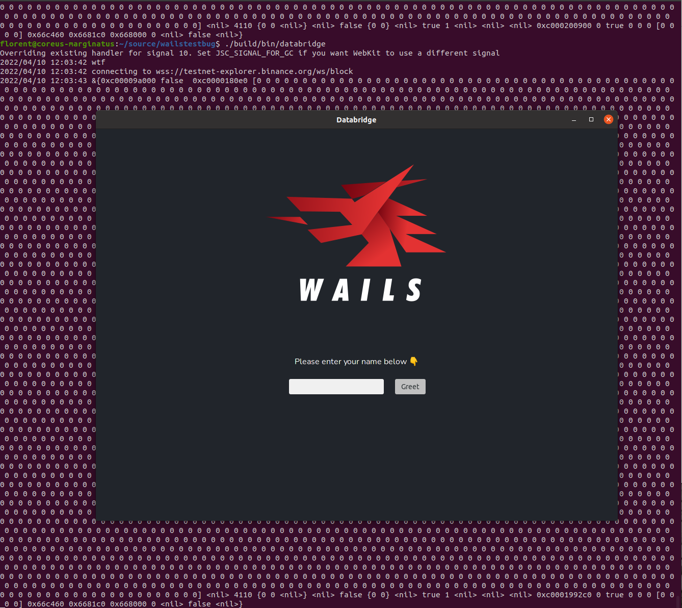 [V2] SIGSEV Gorilla Websocket on linux amd64 - works on windows. · Issue #1321 · wailsapp/wails ...