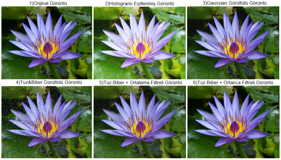 GitHub - devhns/image_processing_gui: Matlab - Görüntü İşleme Paneli