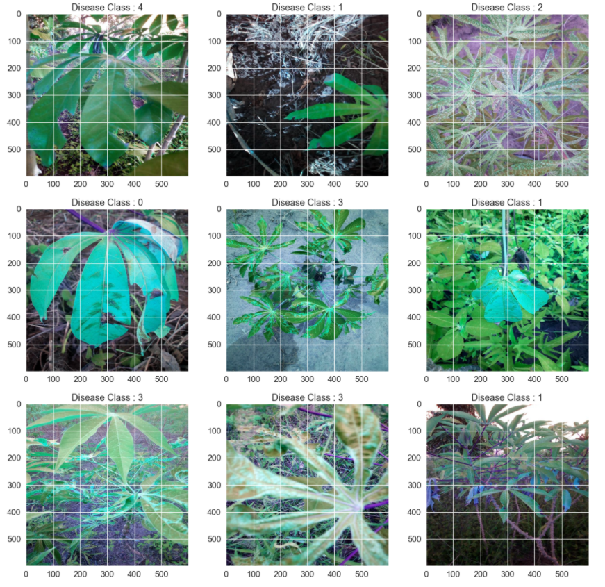 GitHub - Vikeshkr-DSP/cassava-leaf-disease-prediction