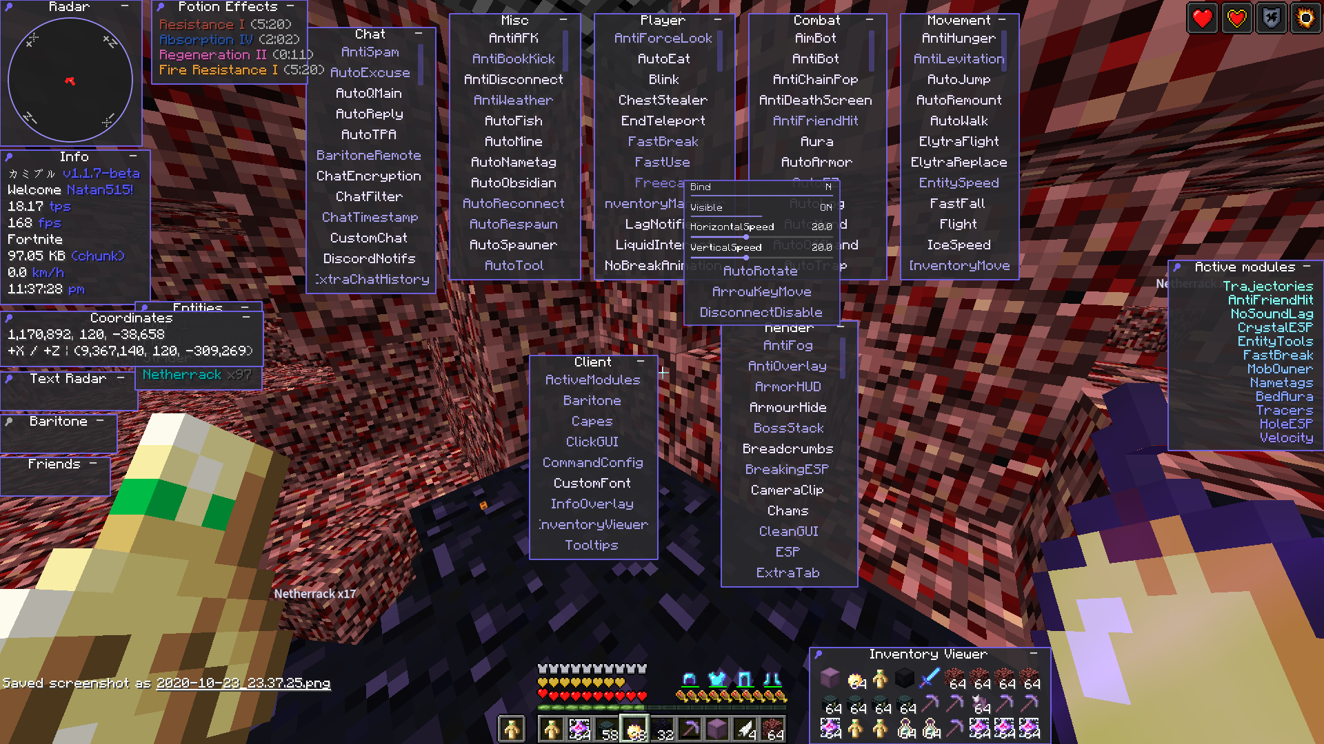 The schamatica work pause when i get into freecam · Issue #1467 · kami ...