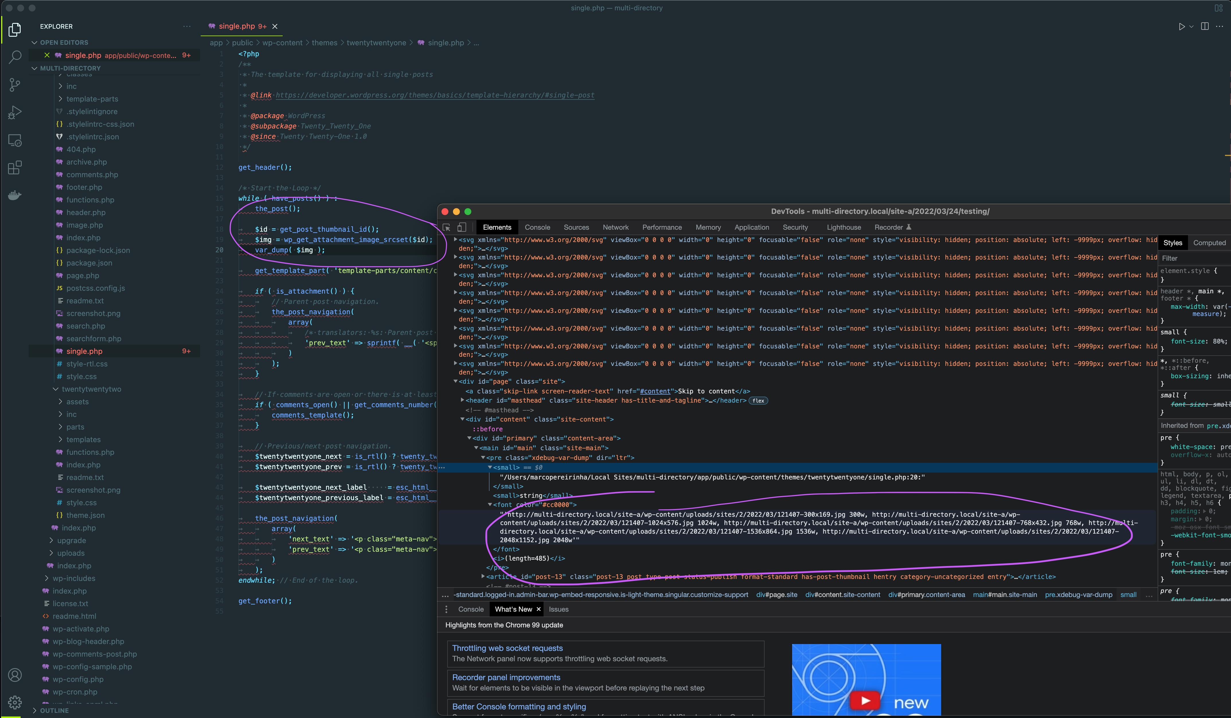 Calling wp_calculate_image_srcset in a multisite environment returns the wrong srcset · Issue ...