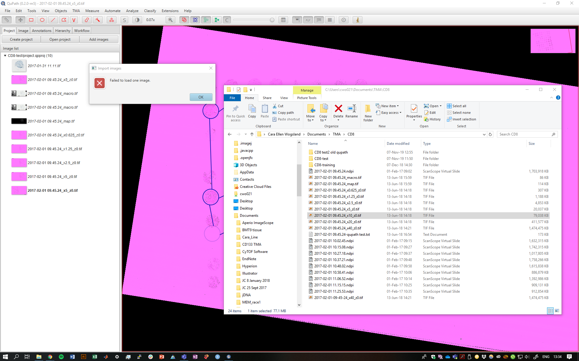Small Tif Files Are Pink And Large Tif Files Won T Import · Issue 374 · Qupath Qupath · Github