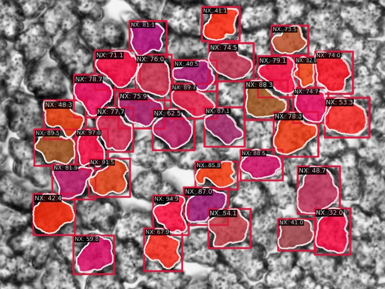 When inference, the order of classes list caused different lable？ · Issue #10675 · open-mmlab ...