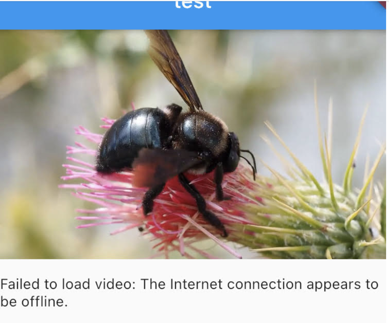 [video player]: Lack of support for error handling · Issue #82772 · flutter/flutter · GitHub