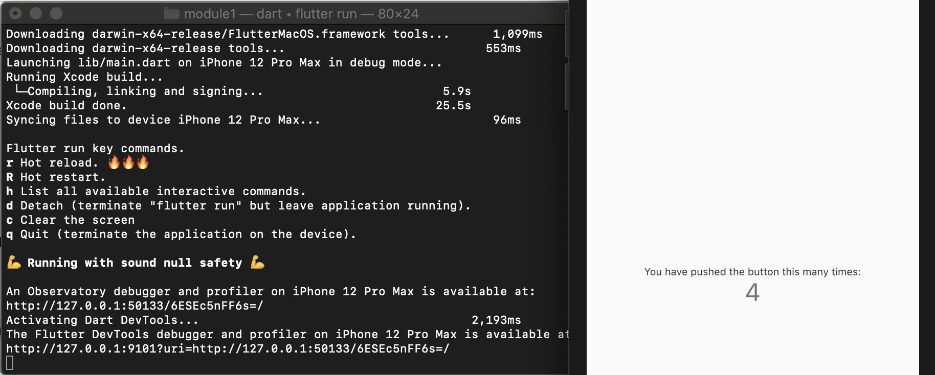 Failed to find assets path for "Frameworks/App.framework/flutter_assets" from flutter module ...