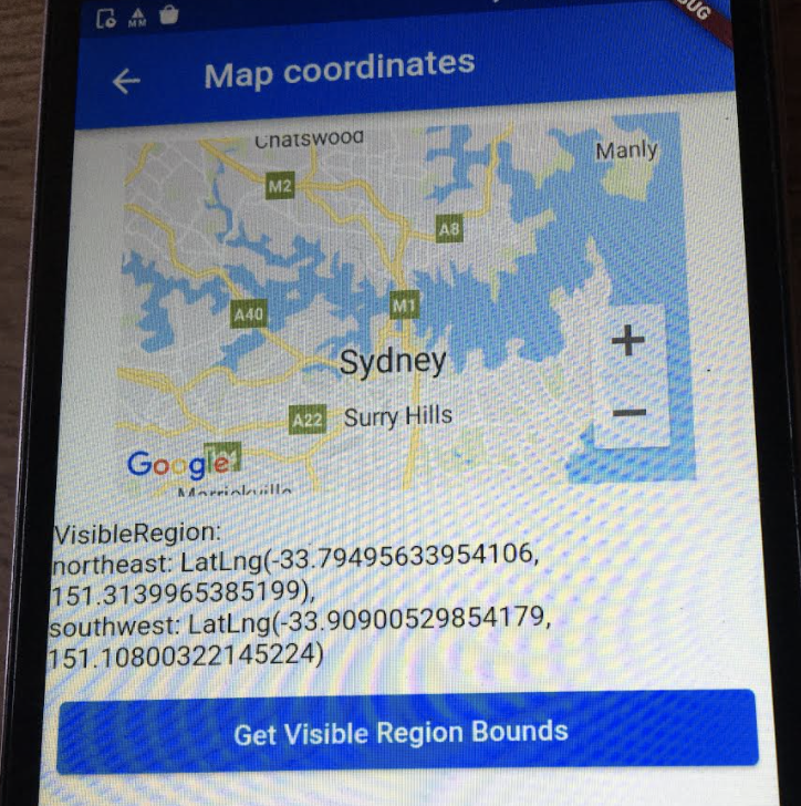 Google Maps is showing blank background and google logo with zoom ...