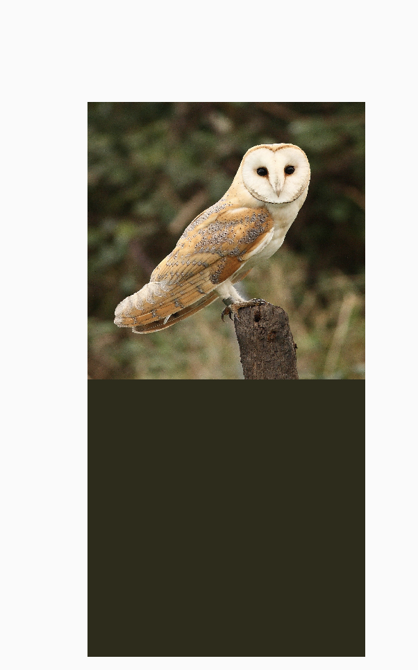 Bug with Canvas.drawVertices + OffsetLayer.toImage in CanvasKit · Issue #99945 · flutter/flutter ...