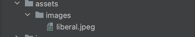 Assets breaks ios builds · Issue #132185 · flutter/flutter · GitHub