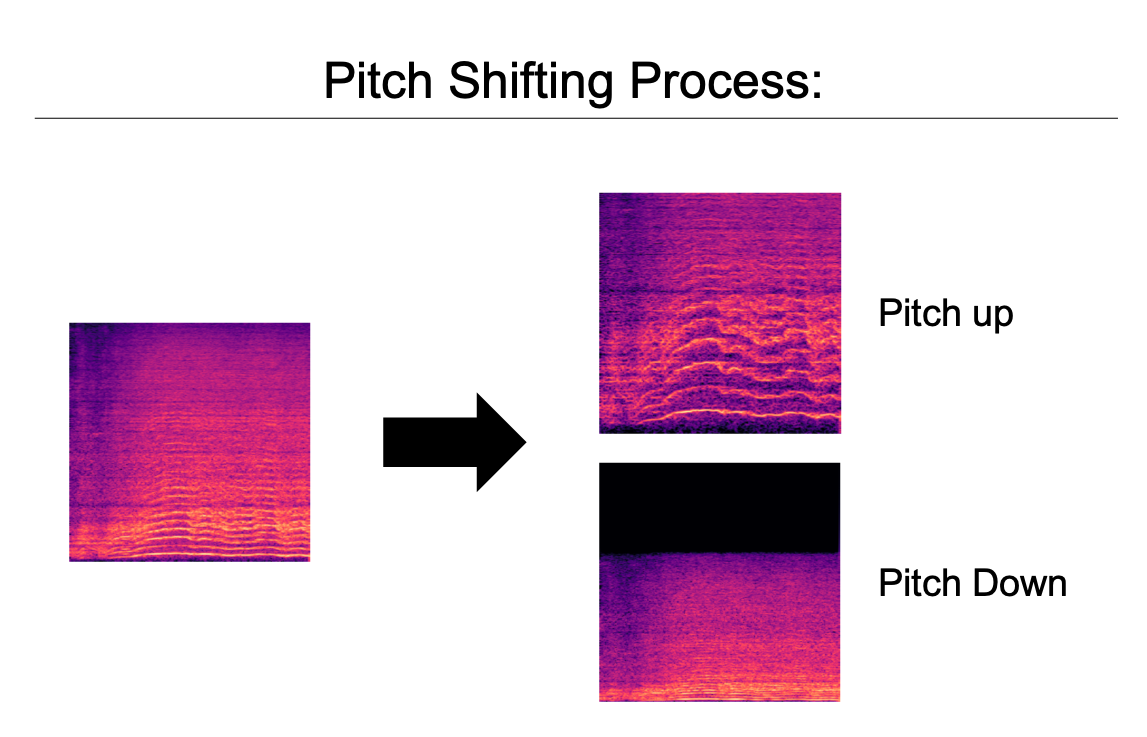 GitHub - crs0706git/Masters_Thesis: Multi-Label Noise Classification ...