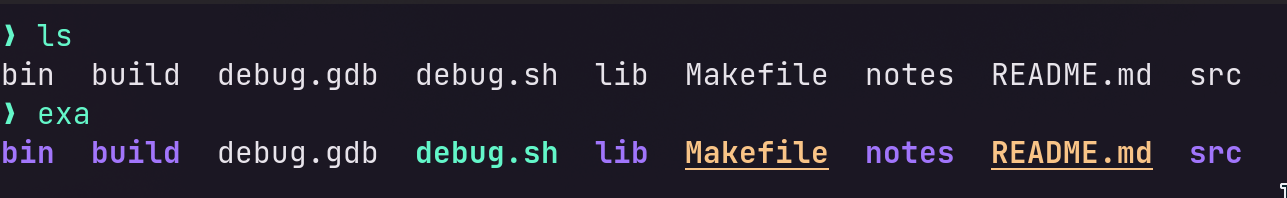 exa shows no color when run as an alias · Issue #501 · ogham/exa · GitHub