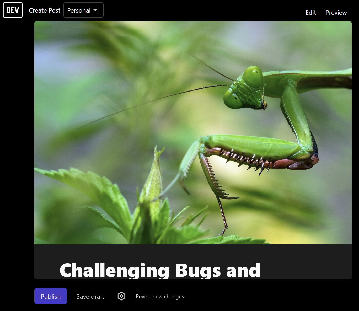 Invalid cover photo preview · Issue #20246 · forem/forem · GitHub Invalid cover photo preview · Issue #20246 · forem/forem · GitHub