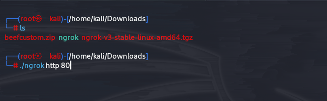 GitHub - eneskazanc/Setoolkit-ile-Parola-Ele-Gecirme: Setoolkit ile Kullanıcı Adı ve Parola Ele ...