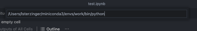 Kernel selection: Can't find (conda) environments · Issue #11722 · microsoft/vscode-jupyter · GitHub