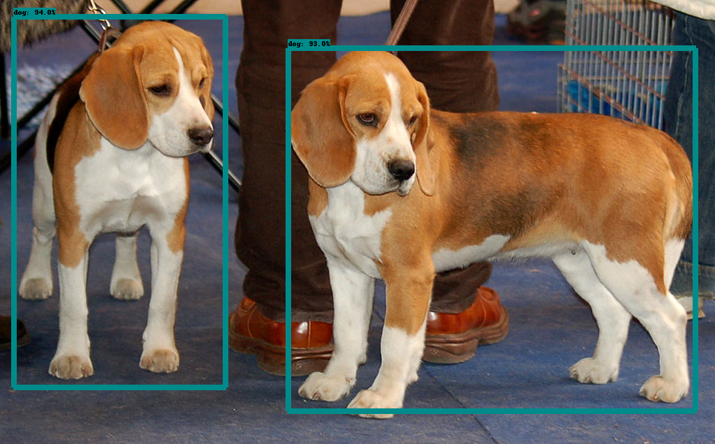 Github Aymennacer Test An Object Detection Model Using