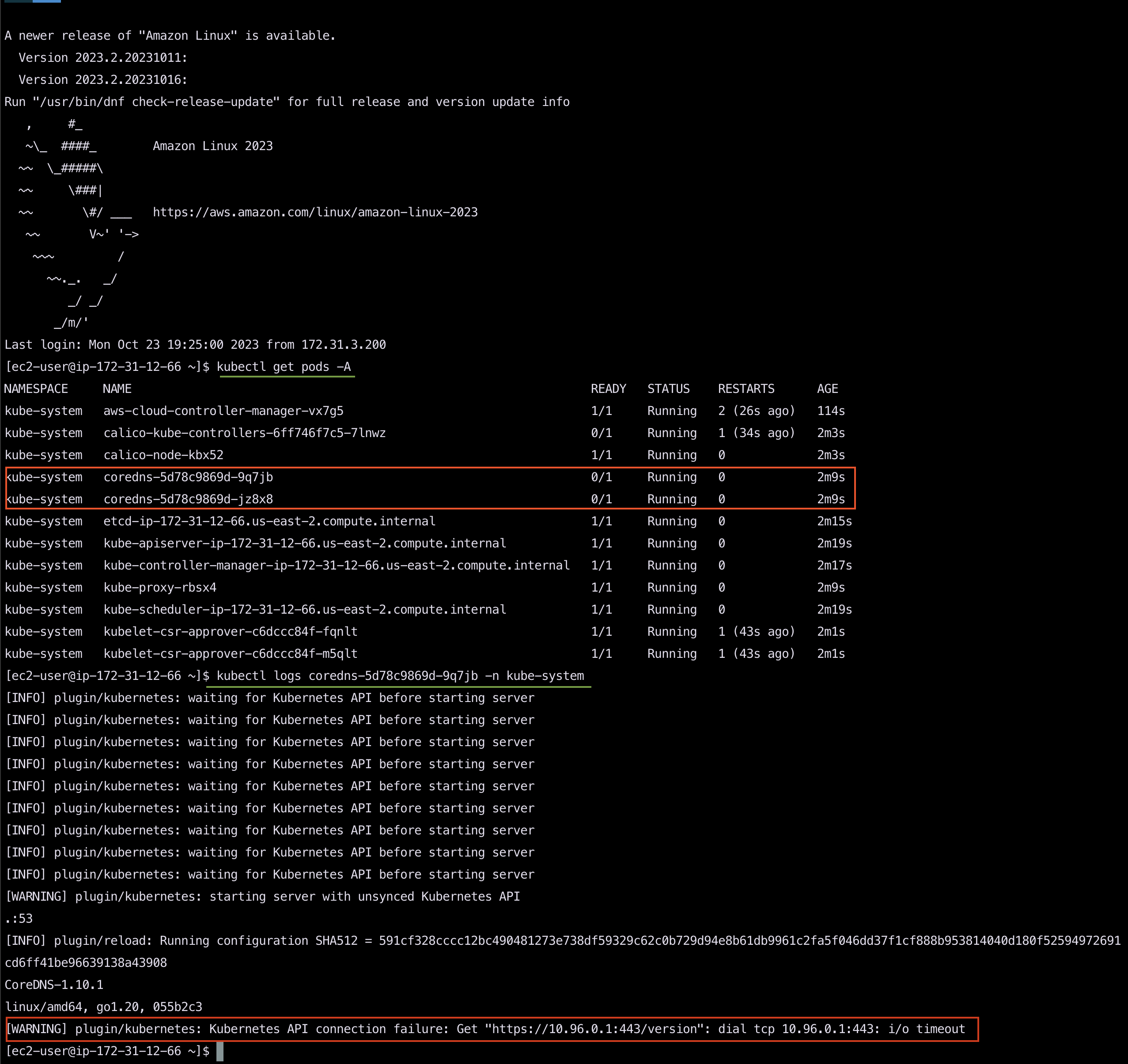 CoreDNS does not work on recent amazon-linux-2023 releases · Issue #6368 · coredns/coredns · GitHub