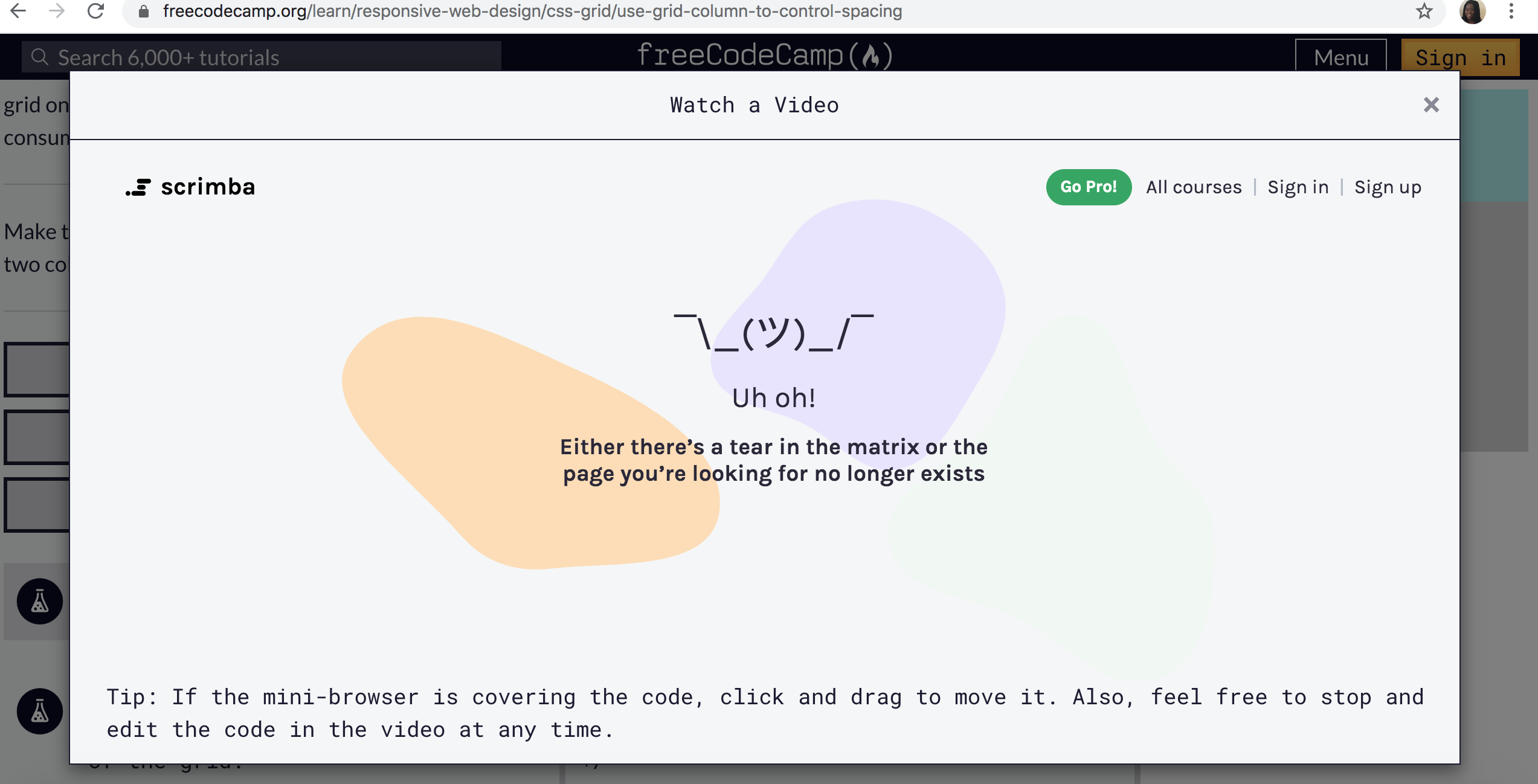 Video in Use grid-column to Control Spacing does not work · Issue #41356 · freeCodeCamp ...