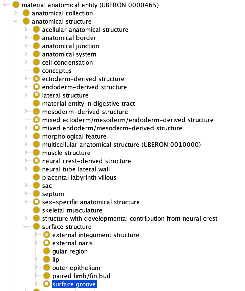 Uberon Unsatisfiable Classes Revise Subclass · Issue 5921 · Monarch Initiativemondo · Github
