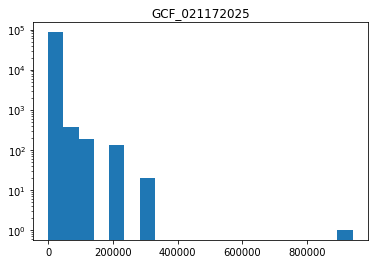 GitHub - SvMixa/hse22_project
