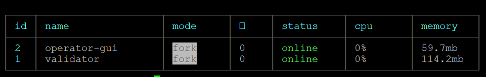 Validator Active Shows ```total Time Validating 000000``` · Issue 215 · Shardeumshardeum 