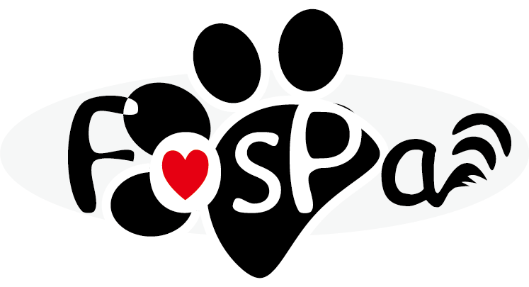 GitHub - ponta3333/FosPa