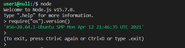 Can't use require("os").version() with root permission · Issue #3365 · nodejs/help · GitHub