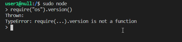 Can't use require("os").version() with root permission · Issue #3365 · nodejs/help · GitHub